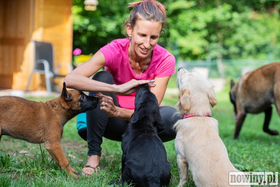 Dogoterapia - na czym polega? • Jastrzębie-Zdrój - Jastrzębie-Zdrój ...